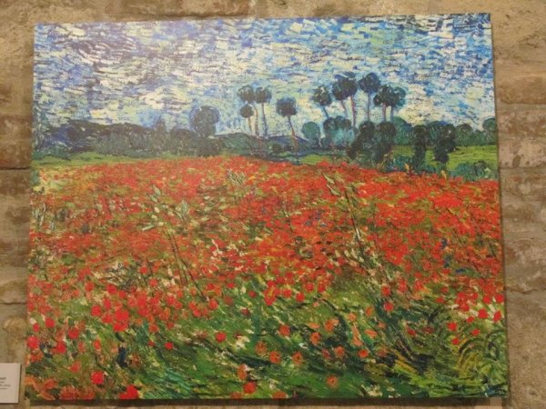 Tíz érdekesség a pipacsról » Virágot egy mosolyért