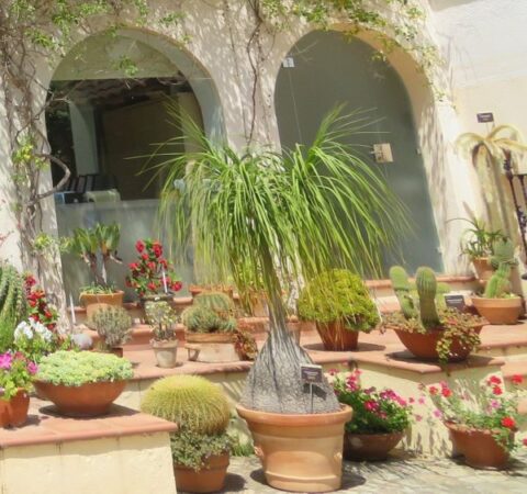 Ilyen csodálatosak a kiskertek a Costa Braván