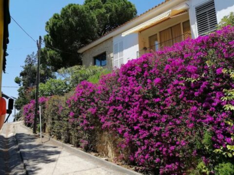 Ilyen csodálatosak a kiskertek a Costa Braván